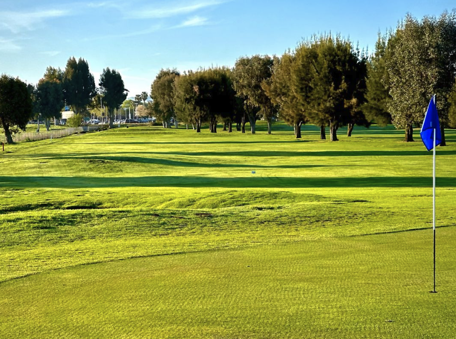 Course Details - Skylinks at Buchanan Fields