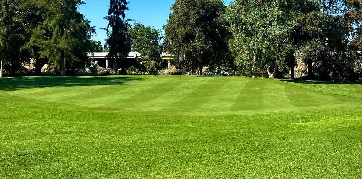 Home - Skylinks at Buchanan Fields