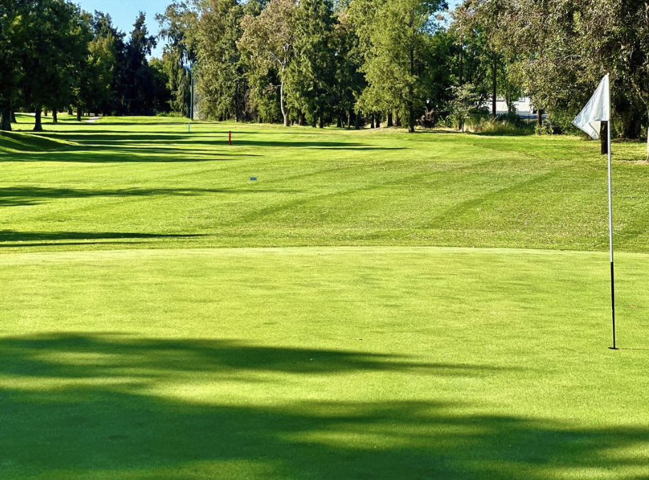 Course Details - Skylinks at Buchanan Fields