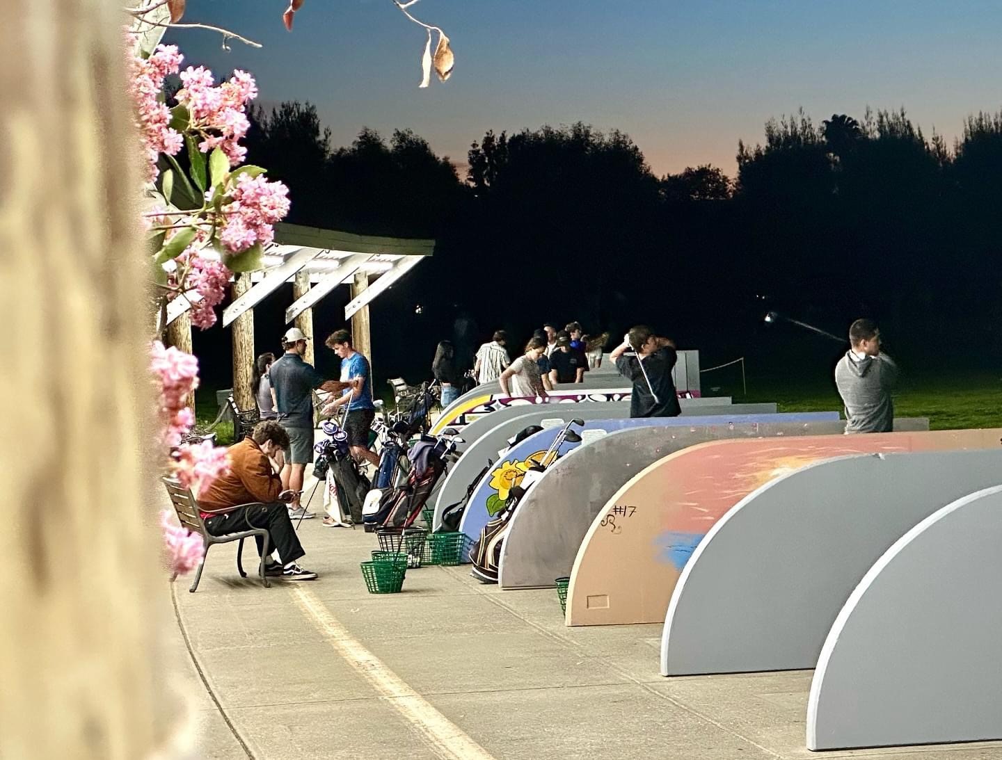 Course Details - Skylinks at Buchanan Fields