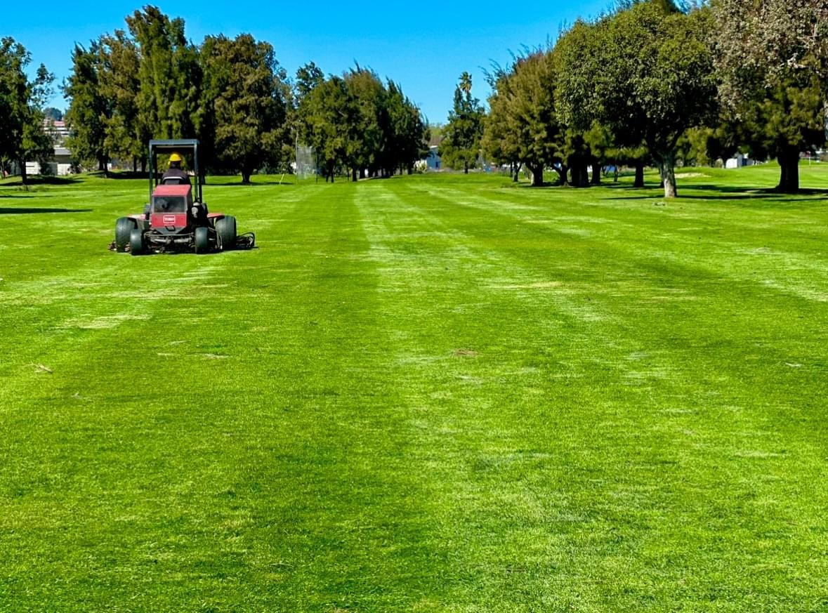 Course Details - Skylinks at Buchanan Fields
